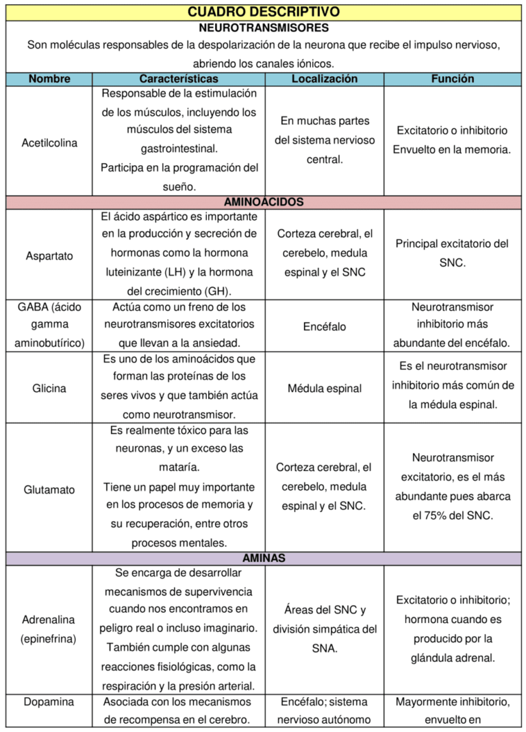 Ejemplos de cuadros descriptivos 【Plantillas gratis】