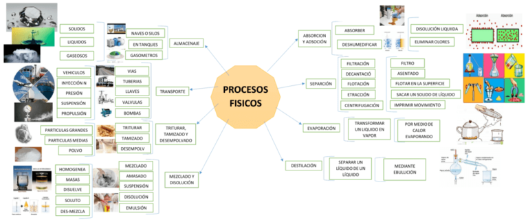 Ejemplos de mapas semánticos 【Plantillas gratis】
