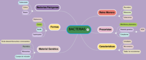 Mapas mentales de las bacterias 【Descargar】