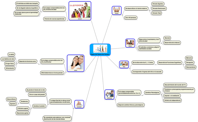 Mapas mentales del desarrollo humano | ⬇️ Descarga GRATIS